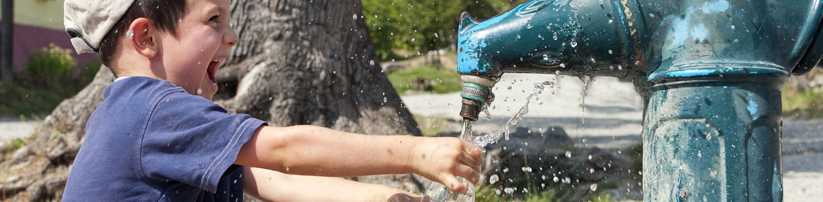 Sati Filter : VIRIDIS Energy Solutions Sdn Bhd